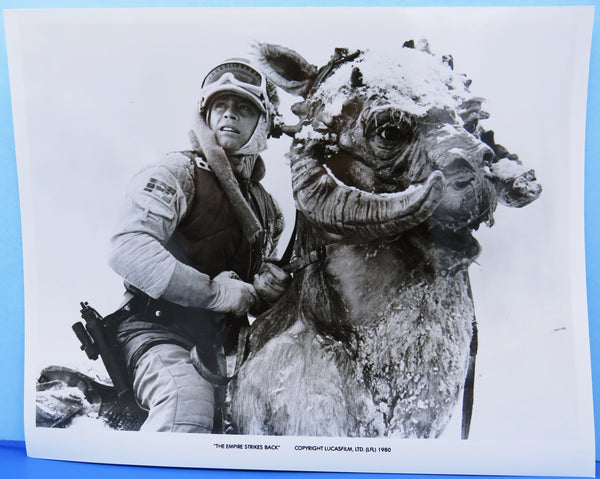 Press Still Photo Star Wars Empire Strikes Back - Luke Skywalker on Ta ...